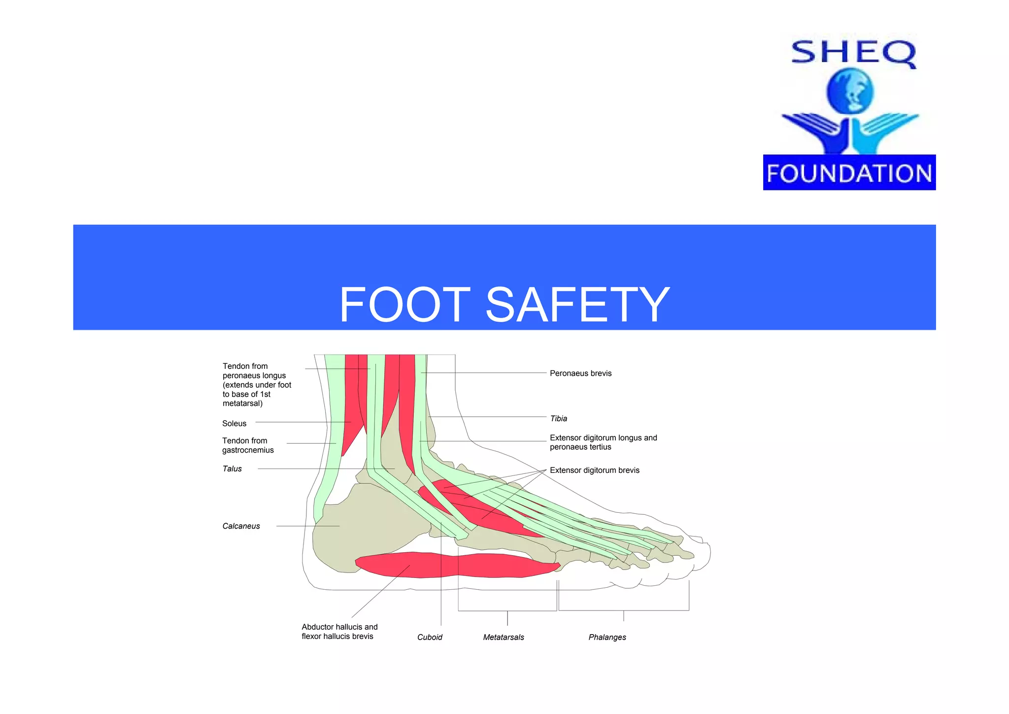 Foot safety | PDF