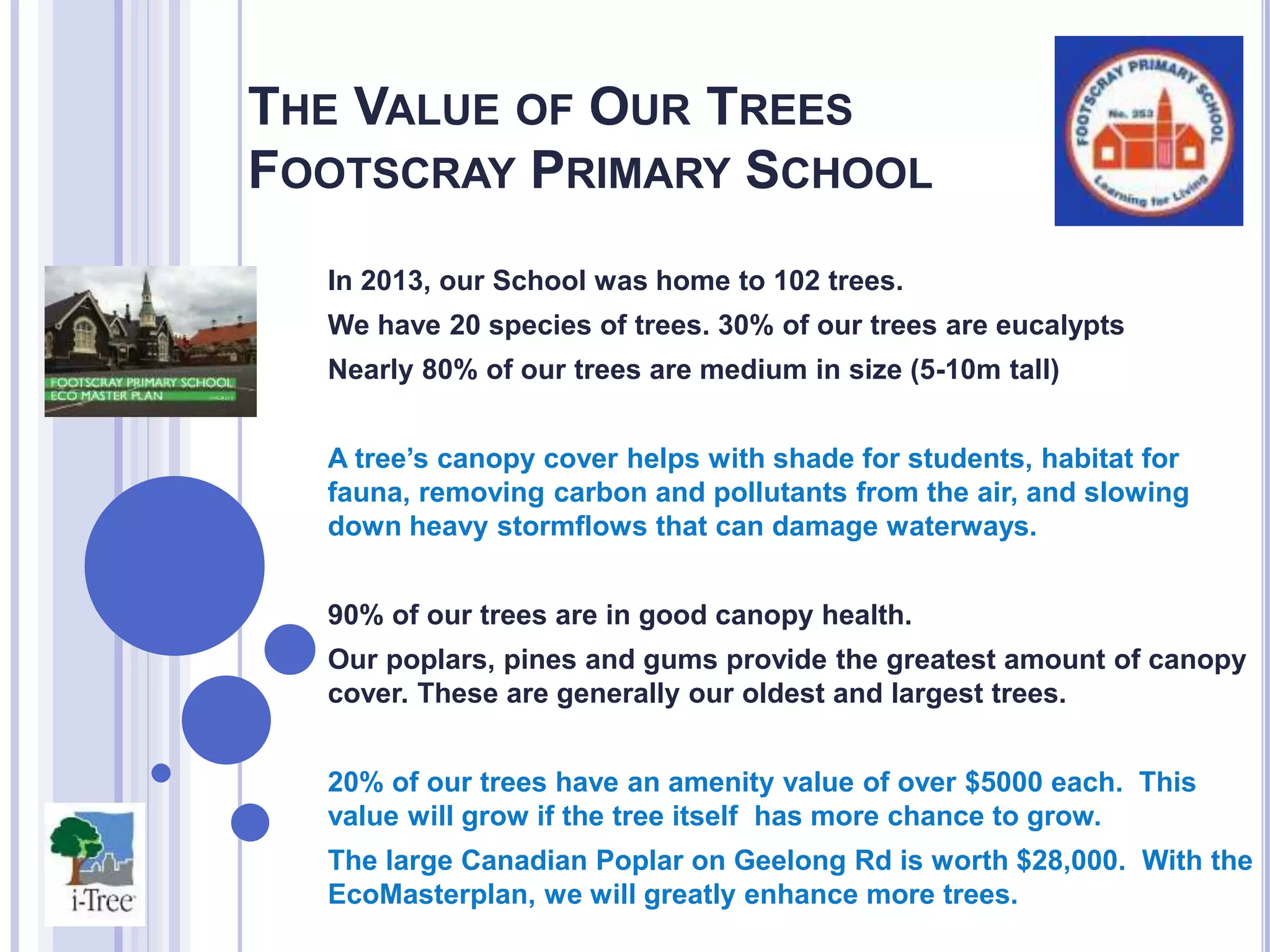 Footscray Primary School: the i-tree value of our trees | PPT