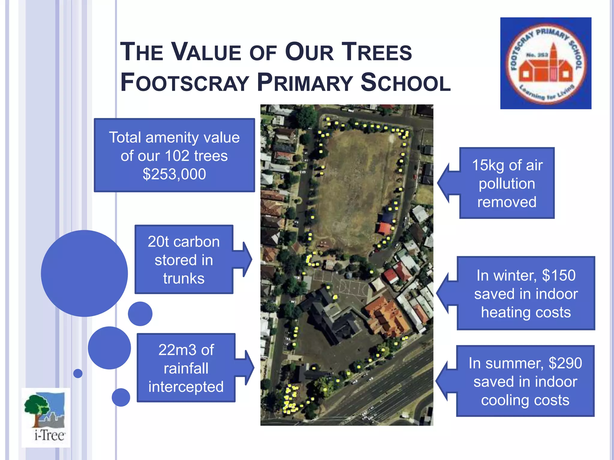 Footscray Primary School: the i-tree value of our trees | PPT