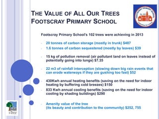Footscray Primary School: the i-tree value of our trees | PPTX