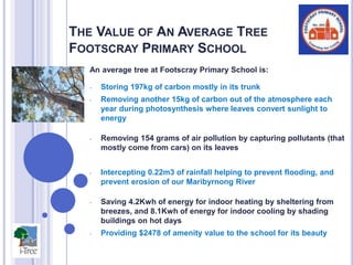 Footscray Primary School: the i-tree value of our trees | PPT