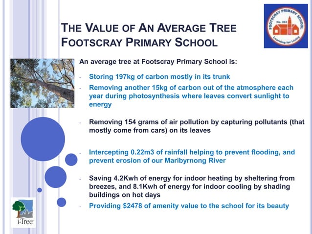 Footscray Primary School: the i-tree value of our trees | PPT