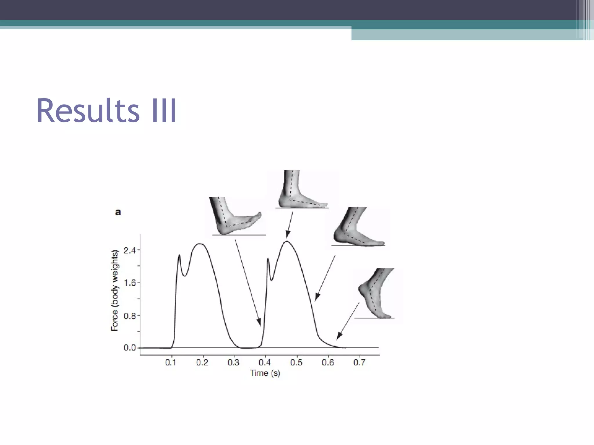 Foot strike patterns and collision forces in barefoot vs shod runners ...