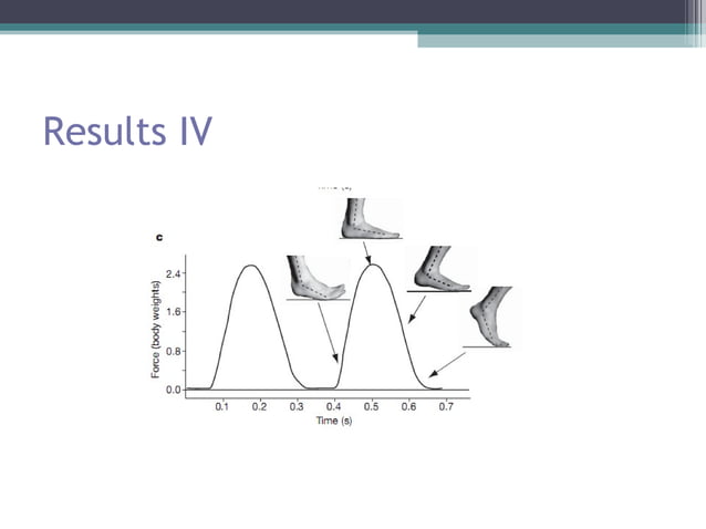 Foot strike patterns and collision forces in barefoot vs shod runners ...