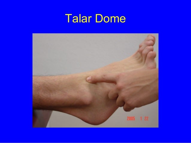 Surface Anatomy Foot