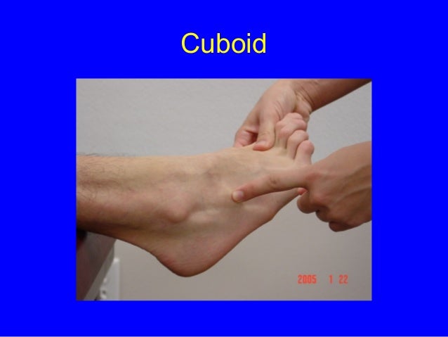 Foot surface anatomy