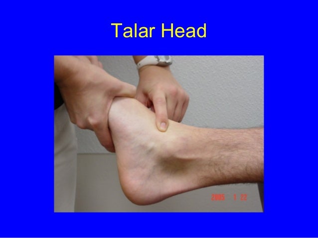 Foot surface anatomy