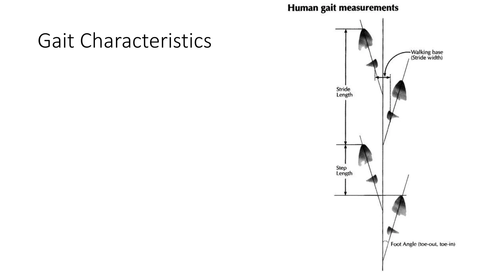 Forensic analysis of Footwear Impression Evidence pptx. | PPTX