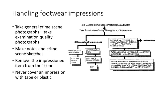 Forensic analysis of Footwear Impression Evidence pptx. | PPTX | Style ...