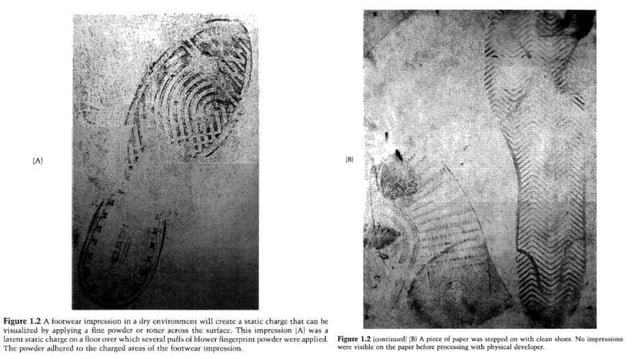 Forensic analysis of Footwear Impression Evidence pptx. | PPTX | Style ...