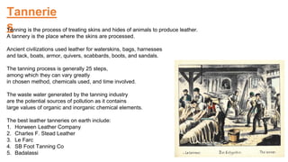 Footwear & Leather Industry of India | PPTX