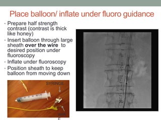 Aorta by Dr Roxanne Wu | PPT