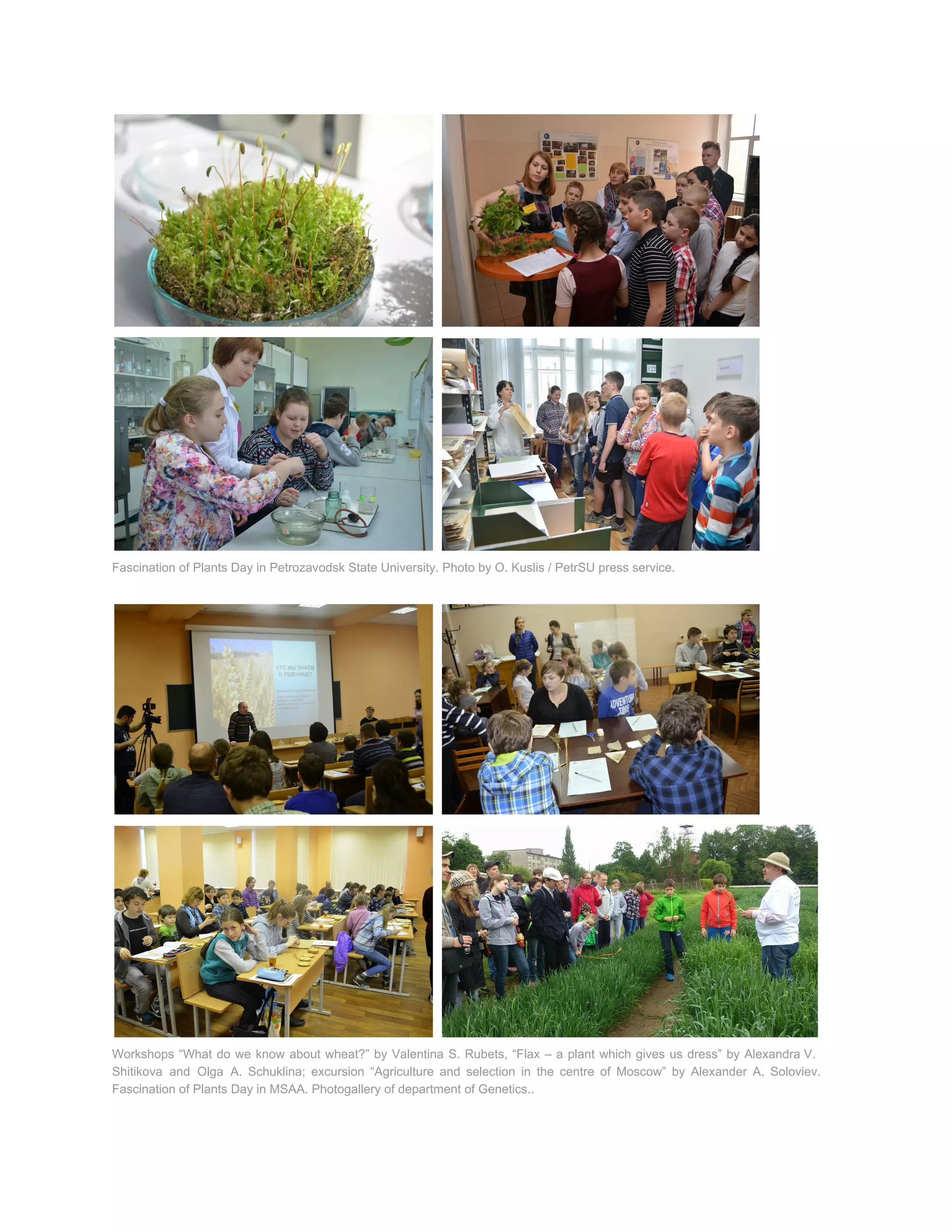 Fascination of Plants Day 2015 Russia Success Story | PDF | Gardening | Home & Garden