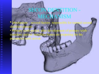 For-students-MECHANISM-OF-SECONDARY-DENTITION_Rozsa (1).pptx