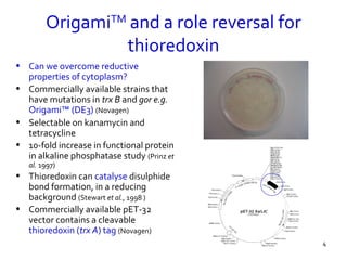 Cheap TRX Suspension Trainer Sale | PPT