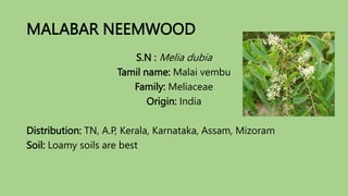 FOR311..pptx dhivya agricultural slite ppt | PPTX