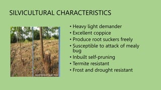FOR311..pptx dhivya agricultural slite ppt | PPT