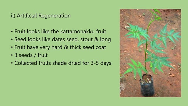 FOR311..pptx dhivya agricultural slite ppt | PPT