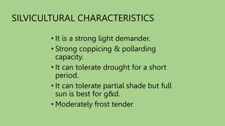 FOR311..pptx dhivya agricultural slite ppt | PPT