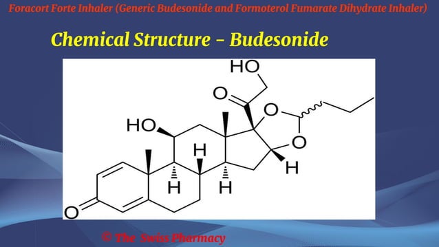Foracort Forte Inhaler (Generic Budesonide and Formoterol Fumarate ...