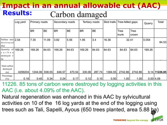 Carbon storage and logging activities: field assessment in Central Africa | PPT