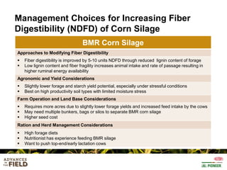 Forage Nutrition | PDF