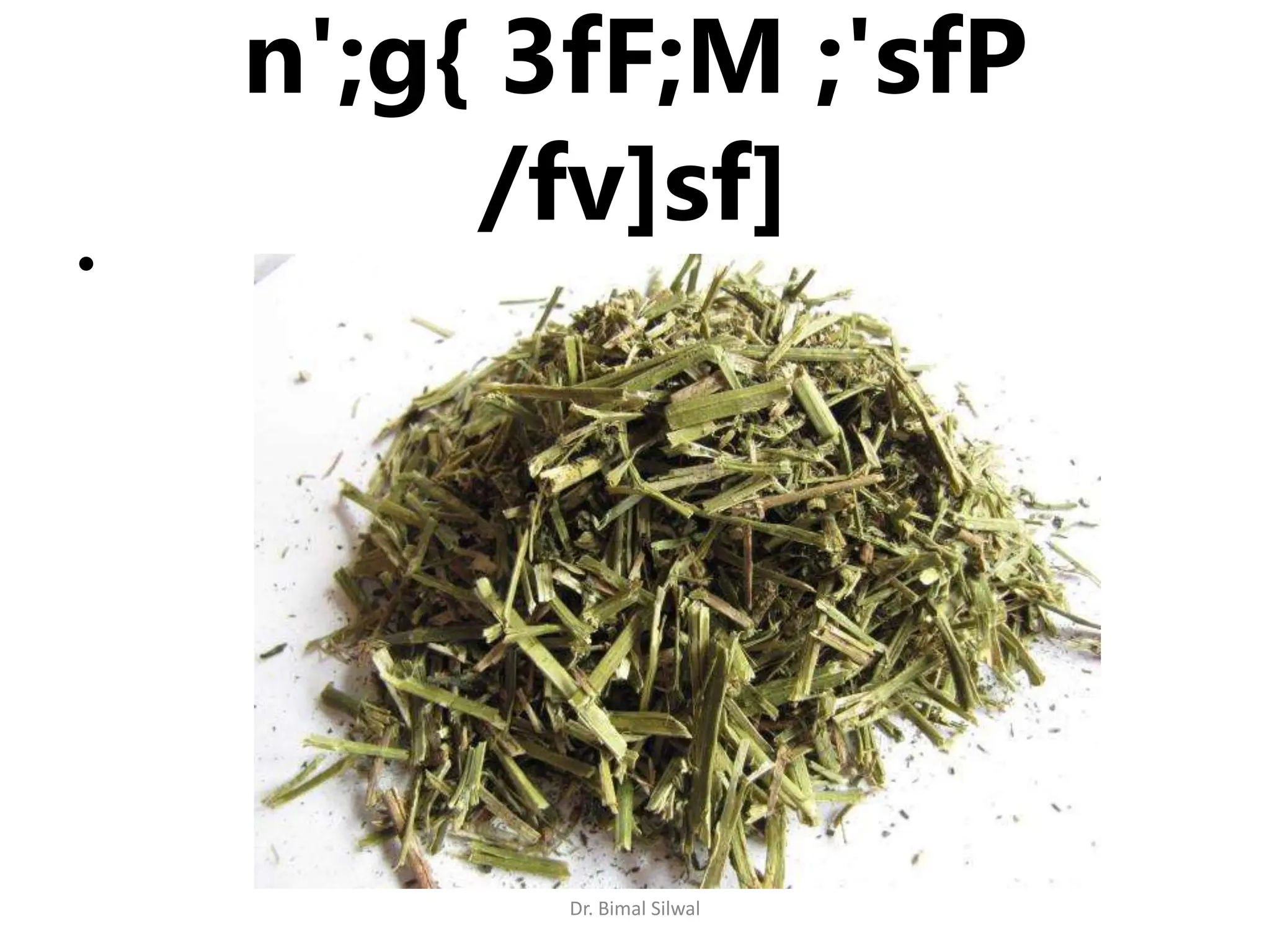 Forag forthegoat productioninnepalunnat jhat ko bakhara palan | PPT