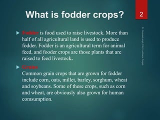 forage chopper and forage handling.pptx