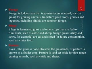 forage chopper and forage handling.pptx