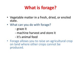 Forage crops | PDF