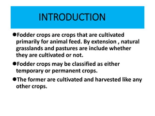 Forage AND fodder crops | PPT