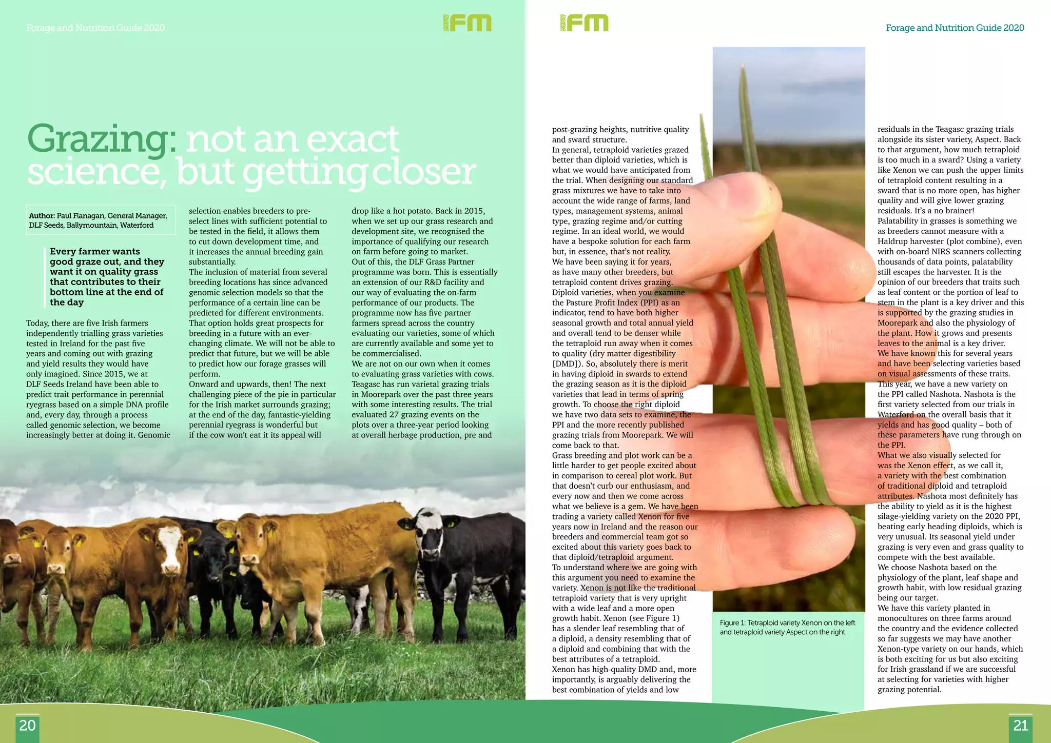 Forage guide 2020_mon_30th | PDF