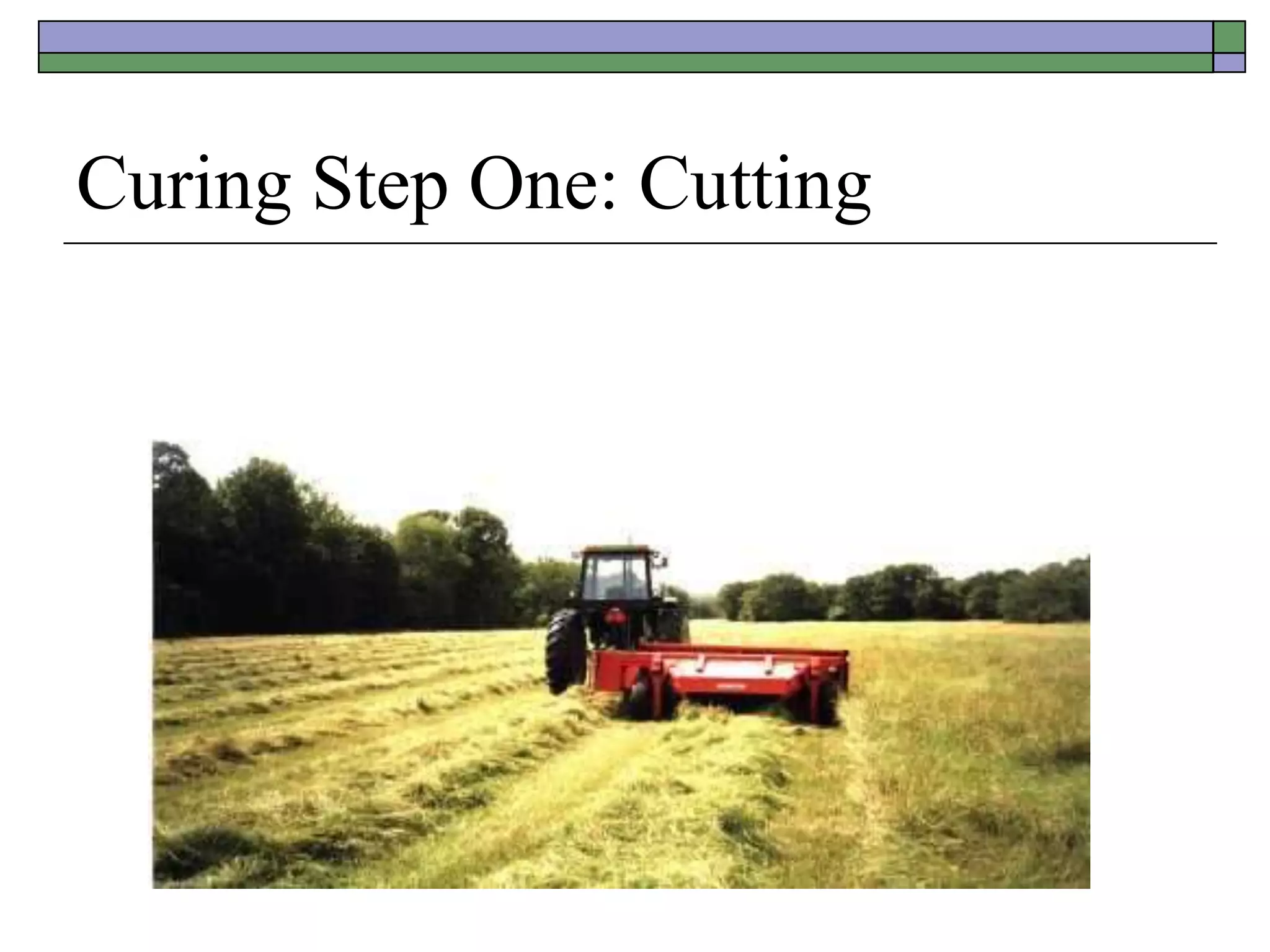 Forage Preservation.ppt