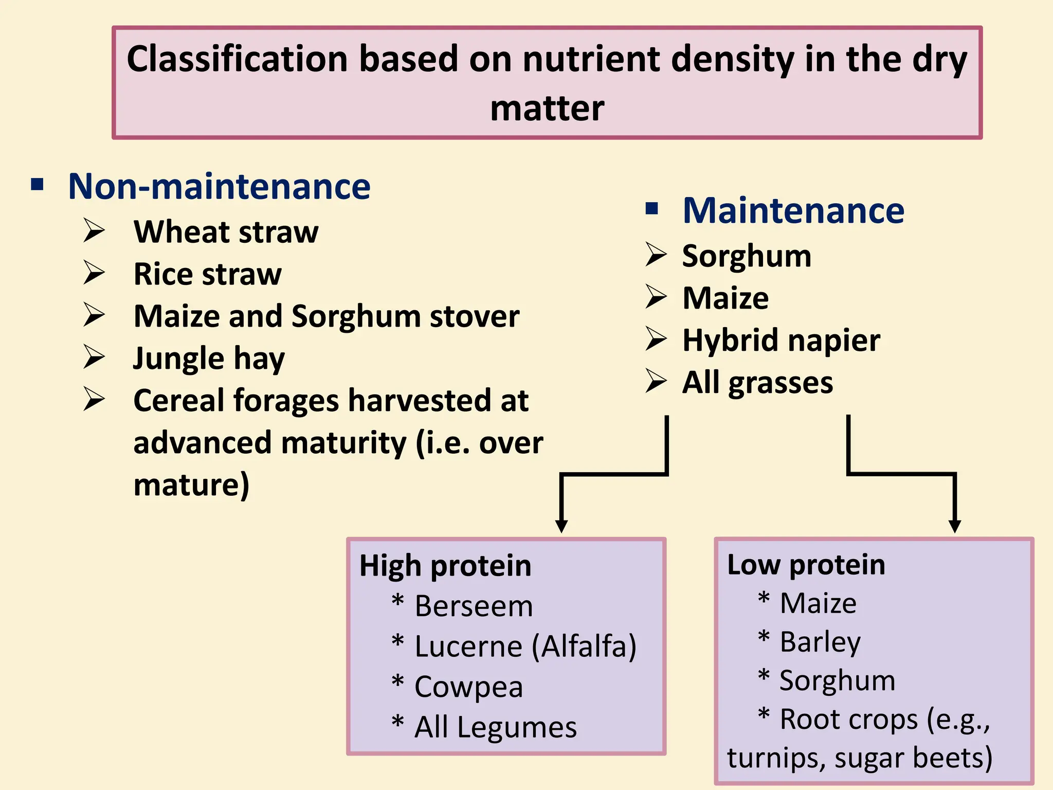 Forage production and conservation and forage identification | PPTX