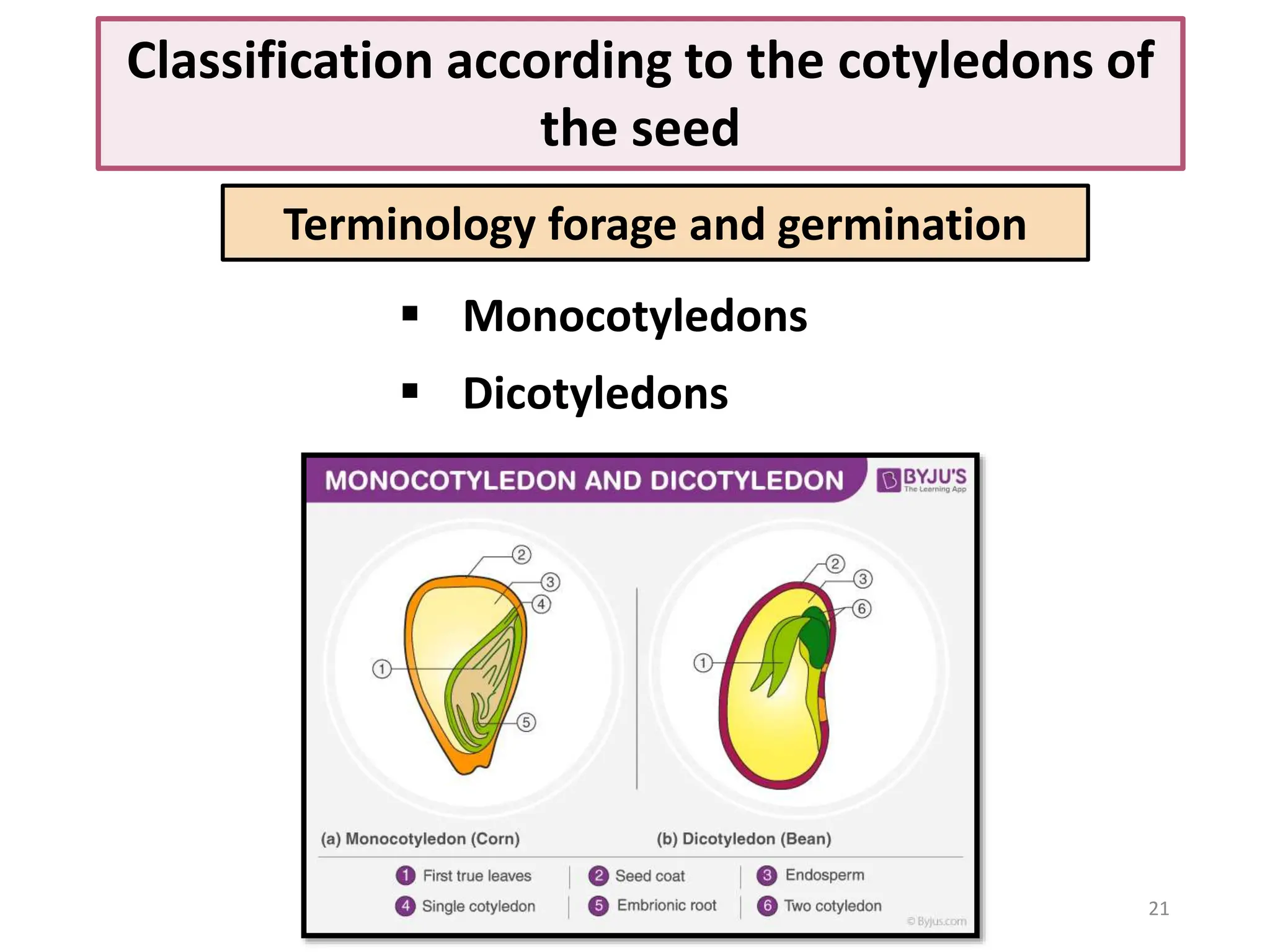 Forage production and conservation and forage identification | PPTX