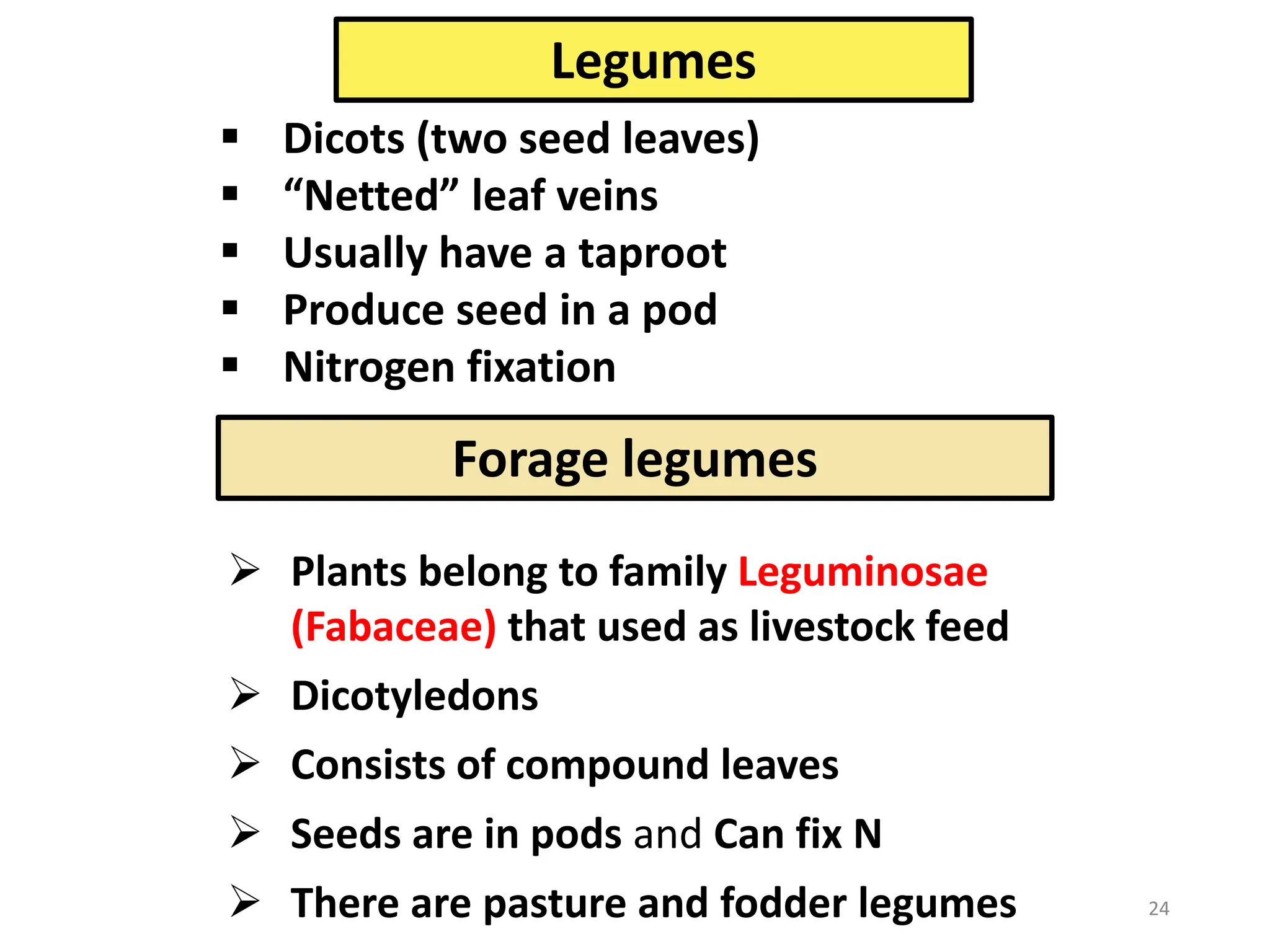 Forage production and conservation and forage identification | PPTX