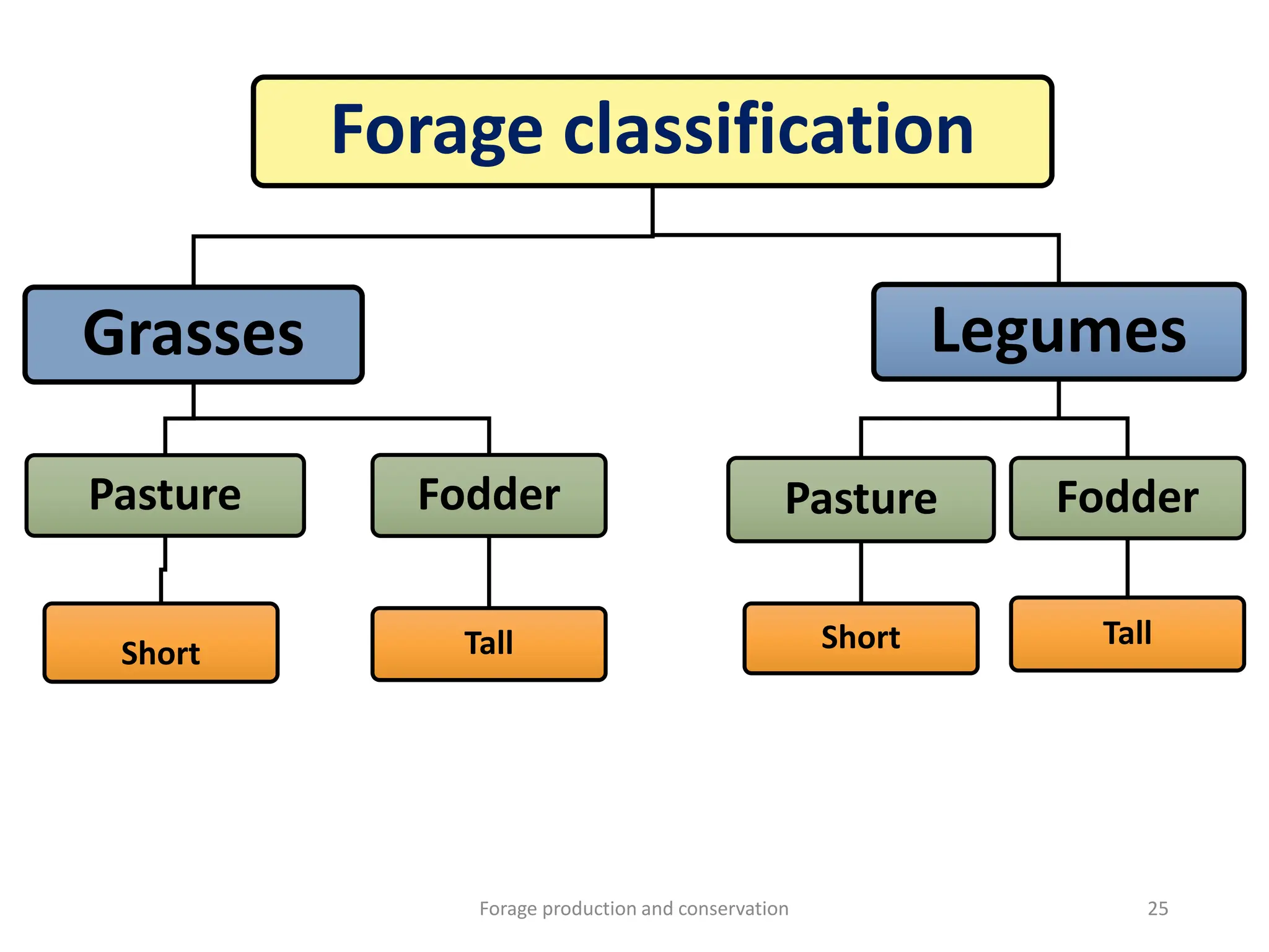 Forage production and conservation and forage identification | PPTX