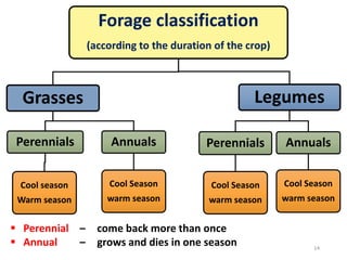 Forage production and conservation and forage identification | PPTX