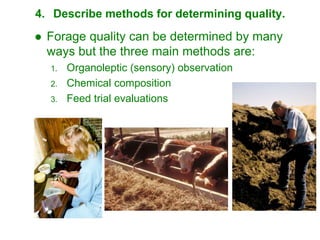 Forage quality ppt.pptx