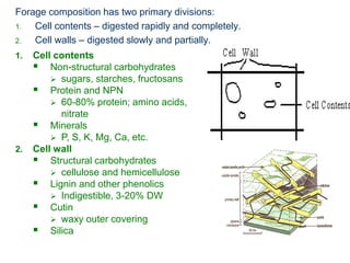 Forage quality ppt.pptx