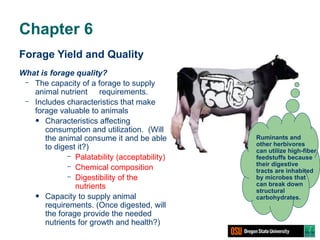 Forage yield and quality for animals ppt.pptx