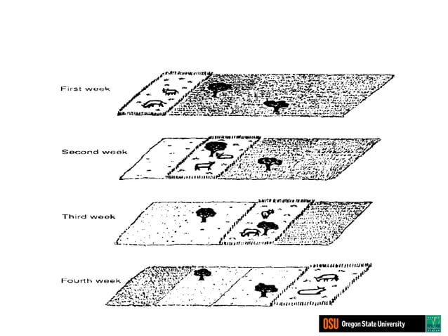 Forage yield and quality for animals ppt.pptx