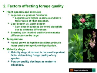 Forage yield and quality for animals ppt.pptx