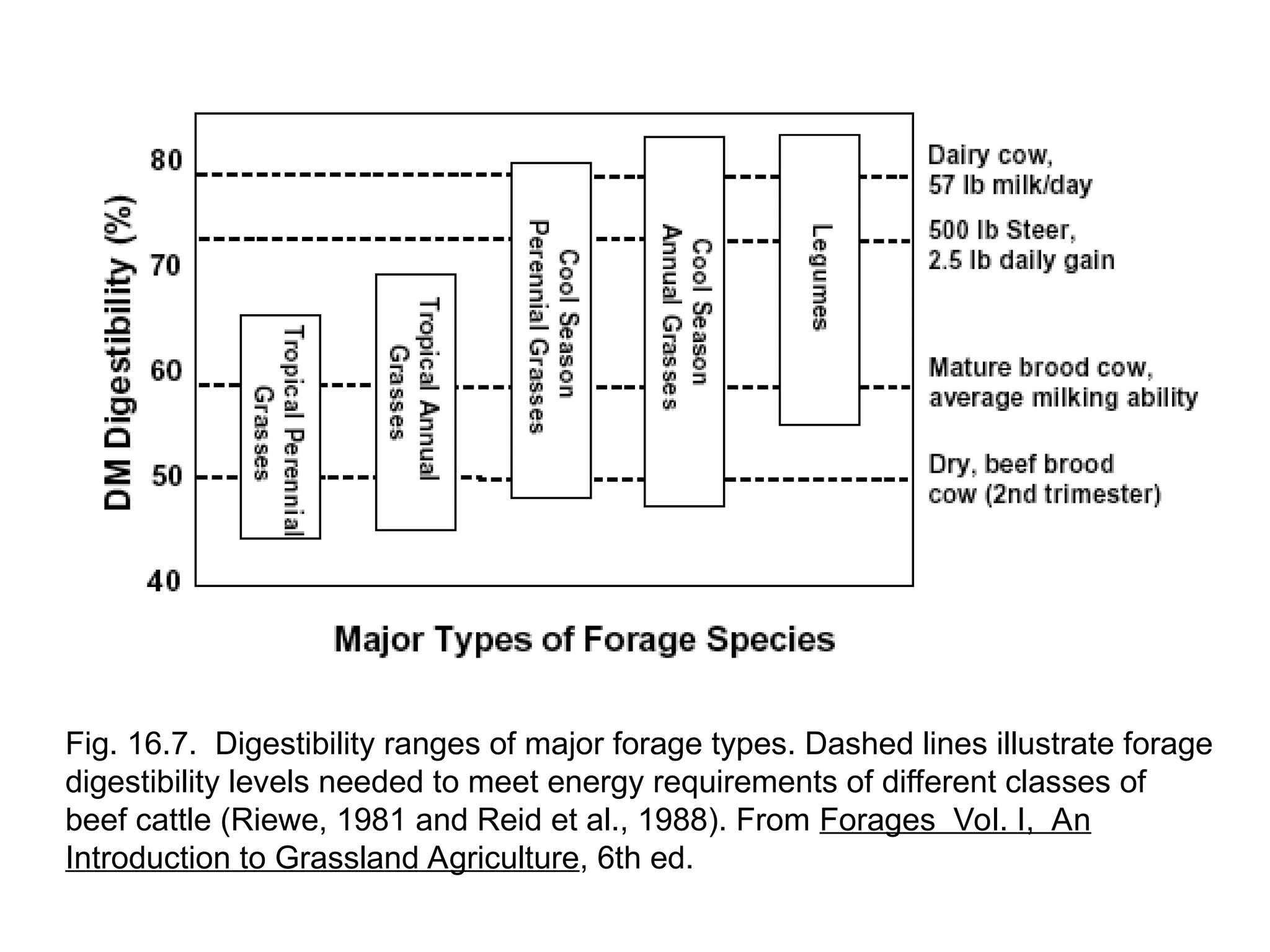 Forages515F11.ppt, forage crop descriptions | PPT | Free Download
