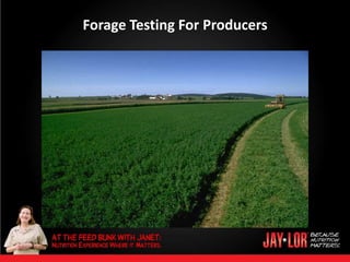Jaylor: Forage Testing for Producers When, Where and How | PPT
