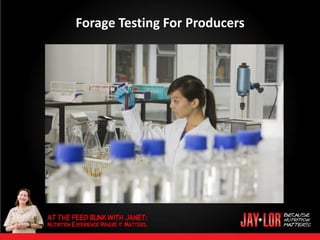 Jaylor: Forage Testing for Producers When, Where and How | PPT