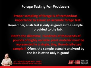 Jaylor: Forage Testing for Producers When, Where and How | PPT