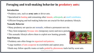 Foraging and trail Making Behaviour in Ants.pptx