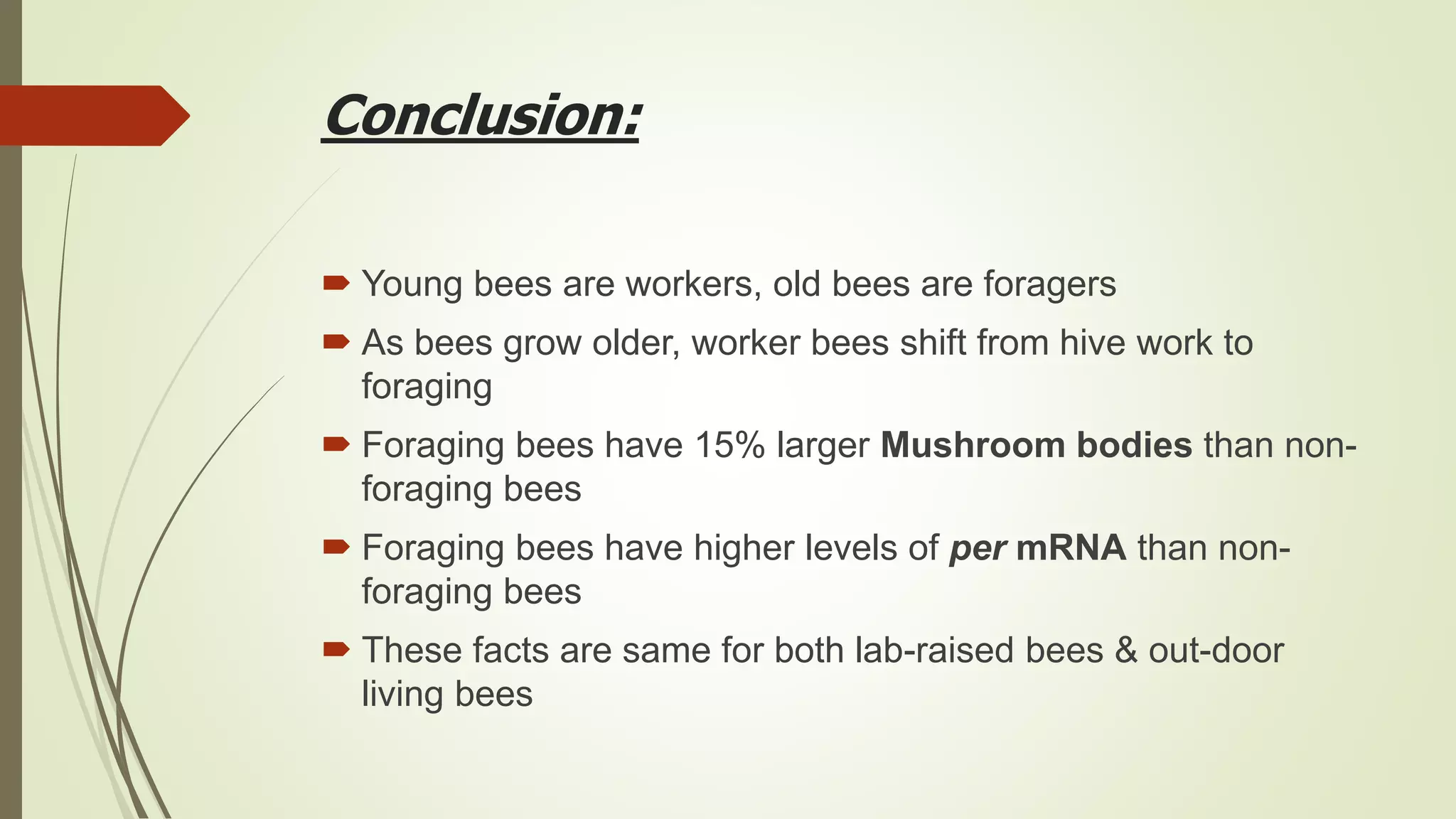 Foraging behavior in honey bees | PPTX