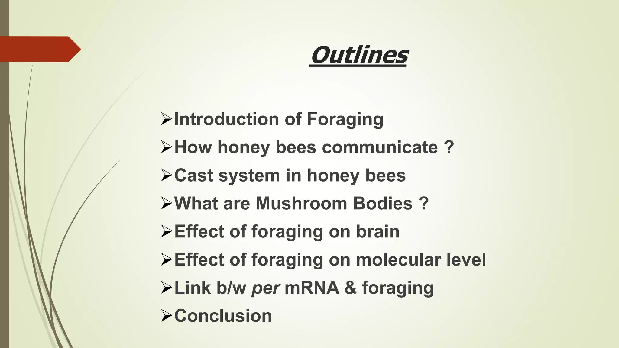 Foraging behavior in honey bees | PPTX